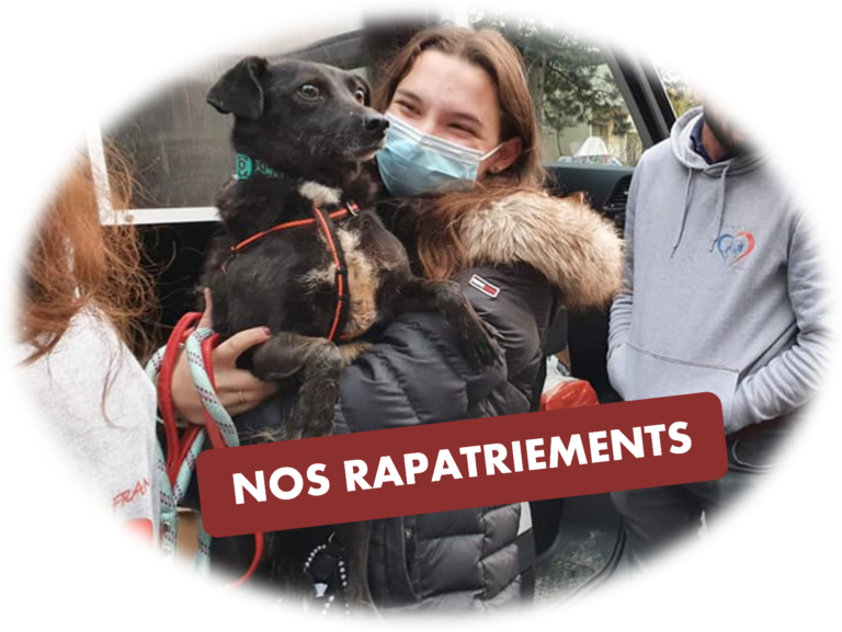 Adopter - Association RMF